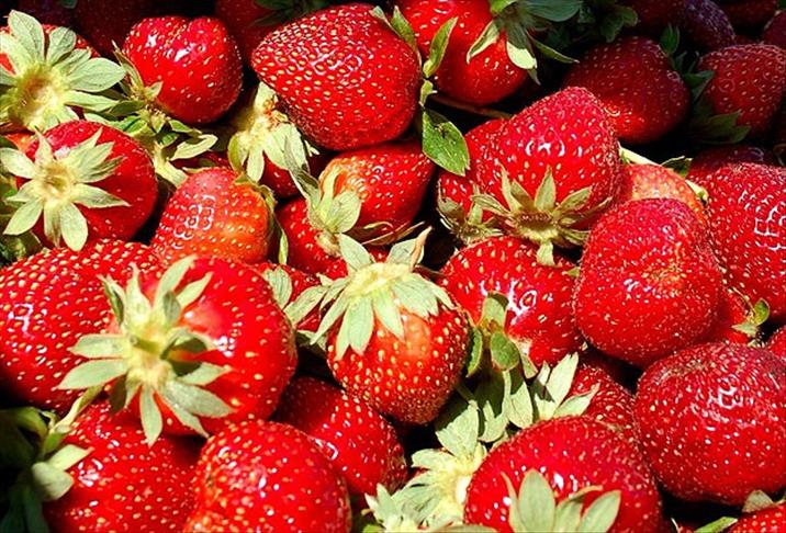 Russia biggest market for Turkey's strawberry exports