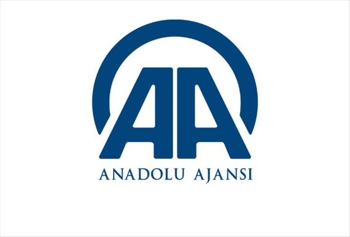 Anadolu Ajansı'na 2 ödül