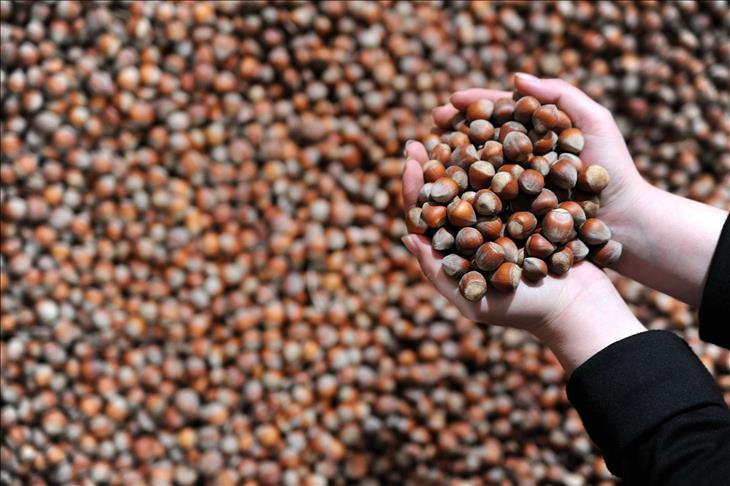 Germany becomes top importer of Turkish hazelnut in 2013