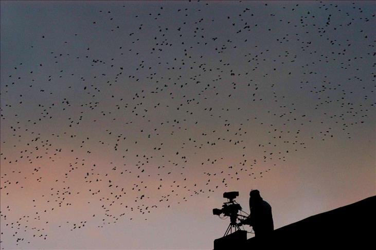 5 Myanmar journalists get 10 years for military reports