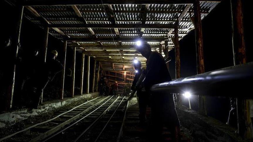 Coal mine collapse leaves 11 dead in northwest China