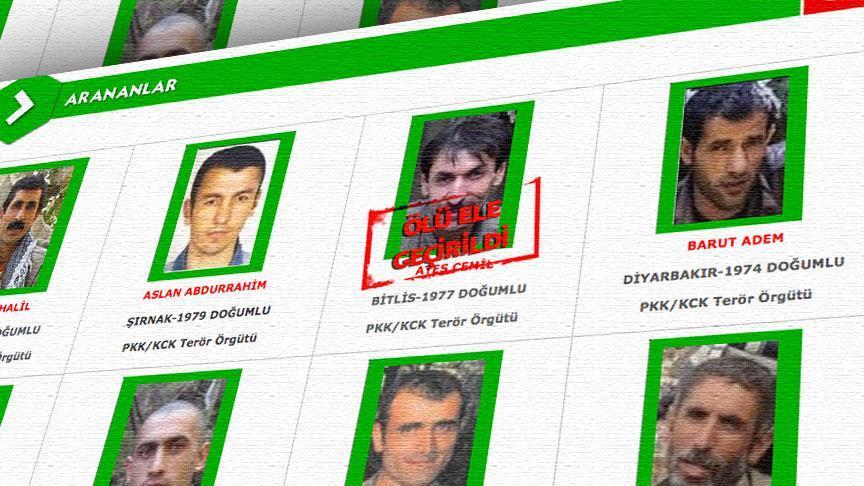 PKK terrorist on Turkey's Most Wanted list killed