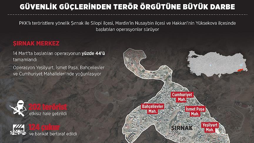 Güvenlik güçlerinden terör örgütüne büyük darbe