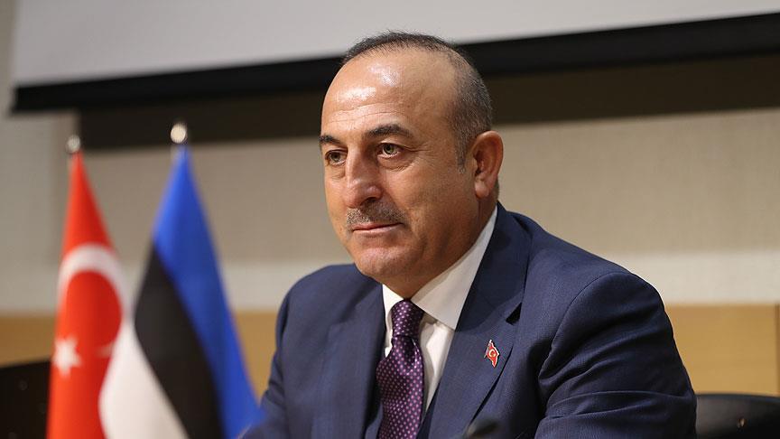 World must be vigilant against FETO: Turkish FM