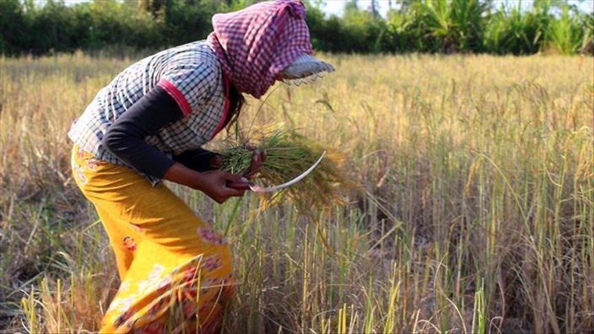 Cambodian gov’t urged to tackle discrimination of women Cambodian gov’t urged to tackle discrimination of women