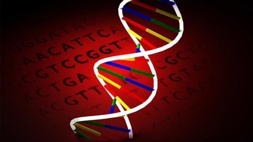 Gjenet ndikojnë në aftësinë e leximit të mendjes nga syri