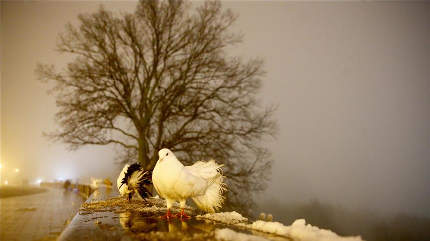 Moskvu prekrila gusta magla