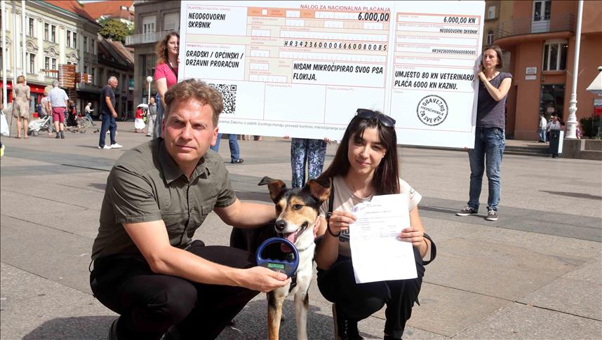 Hrvatska: Ističe zakonski rok za mikročipiranje pasa