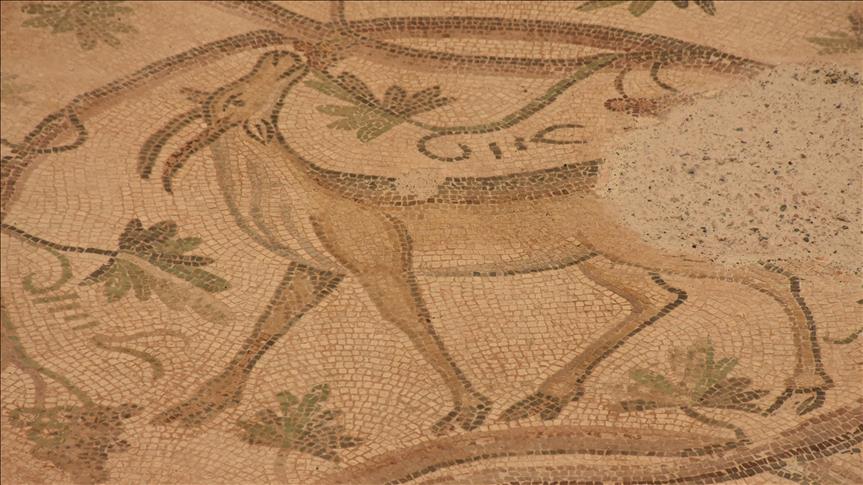 Ancient mosaic found in SE Turkey open for exhibition