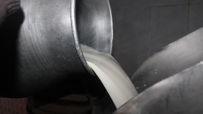 Turkey’s milk production rises in September