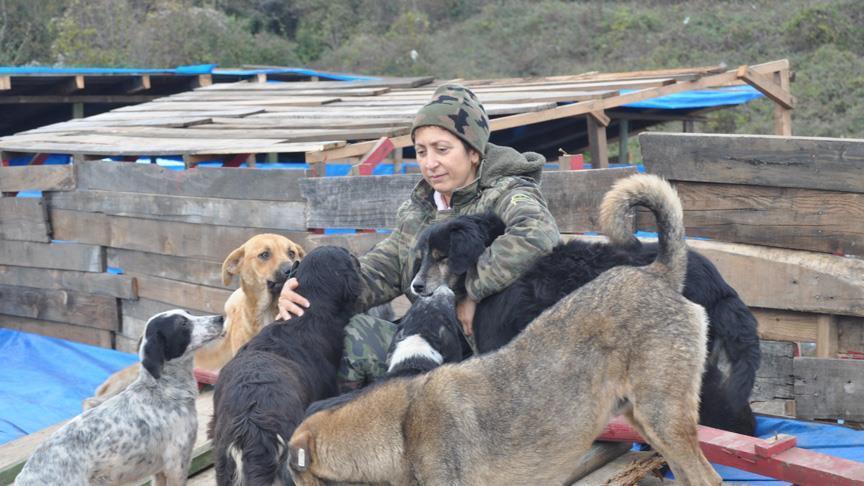 Animal rights activist on hunger strike in Turkey