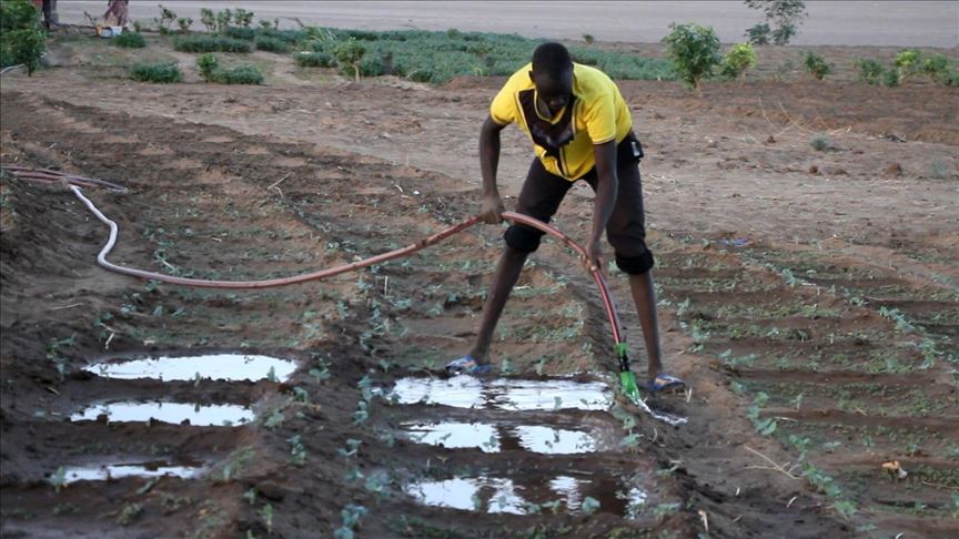 Refugees turn Kenya’s semi-arid land into farms