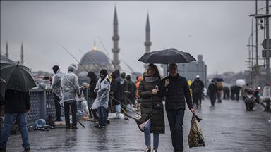 Sibirya kurdu 'Fıstık'ın ilk kar sevinci