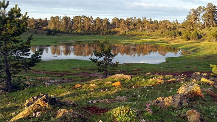 Turska: Crnomorske visoravni već su dočekale cvijeće i polako ispraćaju ...