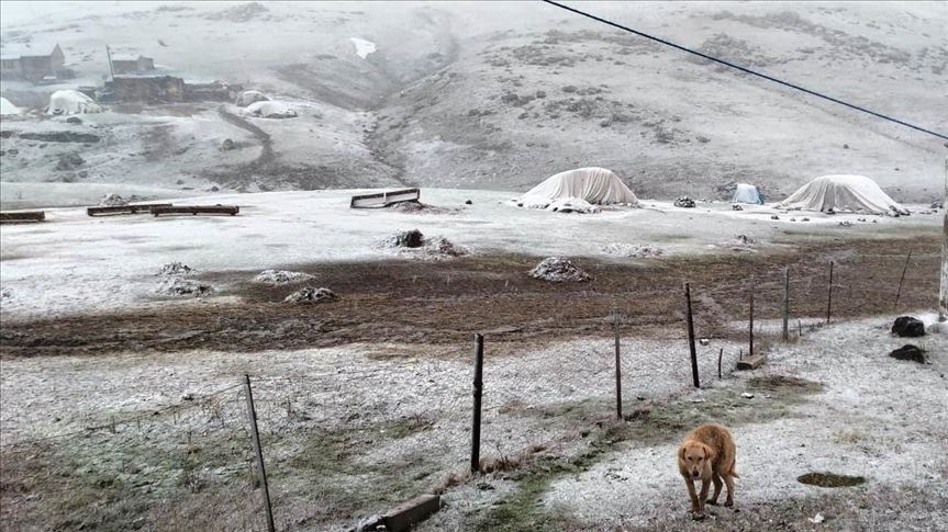 Li cihên bilind ên Agiriyê berf barî