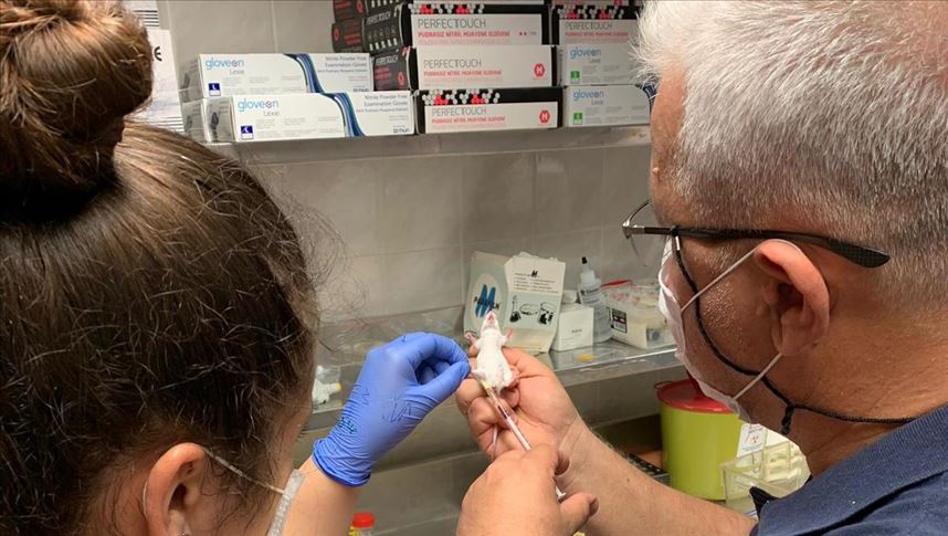 Turkish scientist hopeful of COVID-19 vaccine