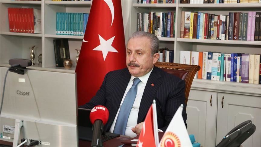 Turkish, Turkmen parliament heads meet via video link