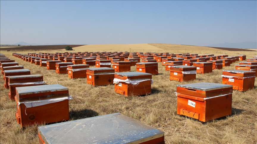 Поддршка од ТИКА за развој на пчеларството во Северна Македонија
