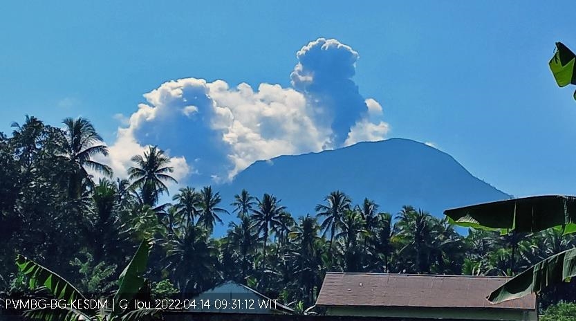 Gunung Ibu erupsi, muntahkan kolom abu 800 meter