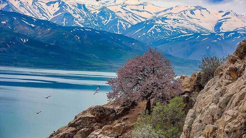 Ishujt e Liqenit Van tërheqin vëmendjen e turistëve