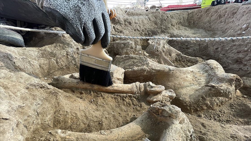 Canlı fosili literatürüne girecek yeni tür "Sofular" adını alacak