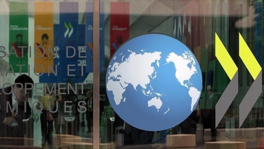 OECD area annual inflation marginally falls to 10.2% in July