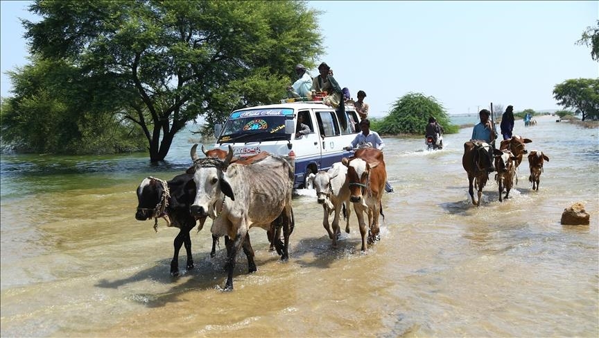 Lebih dari 1.480 orang tewas akibat banjir di Pakistan Lebih dari 1.480 orang tewas akibat banjir di Pakistan