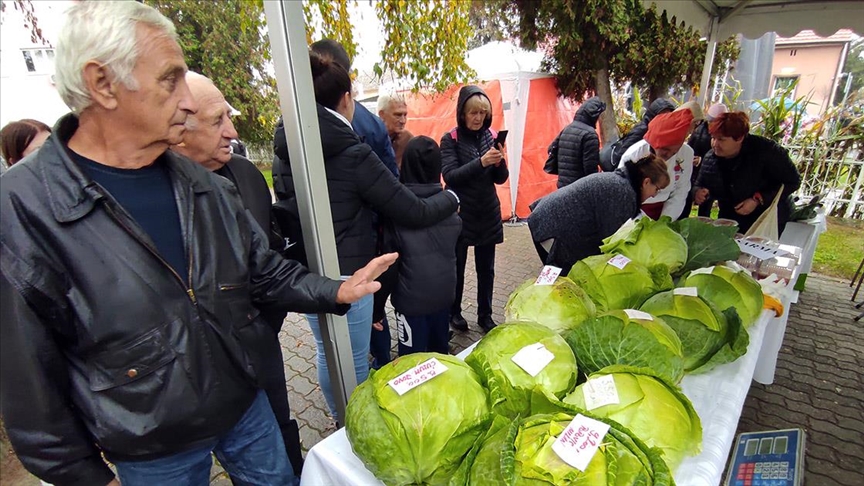 Futog: Festival u čast lekovitog futoškog kupusa