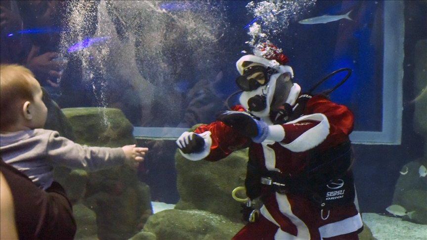 Brazil: Ronilac Djed Mraz hranio ajkule u Rio de Janeiru