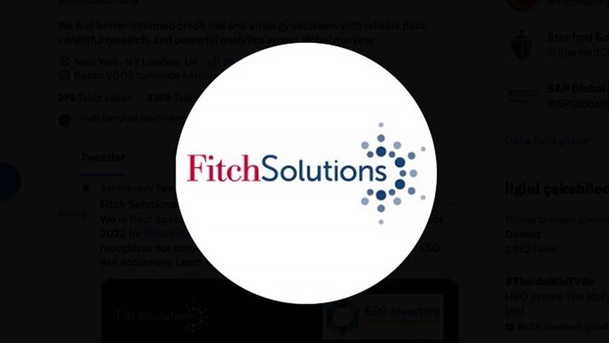 Fitch Solutions, Türkiye'de enflasyonun 2024 ortasına kadar yüzde 20'nin altına düşmesini bekliyor