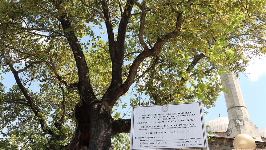 Rrapi i vjetër disa shekullor në Shkup i reziston kohës