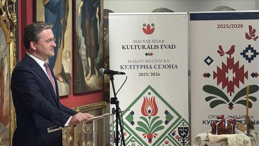 Ministar kulture Srbije Selaković: Vrijeme za produbljivanje kulturne ...