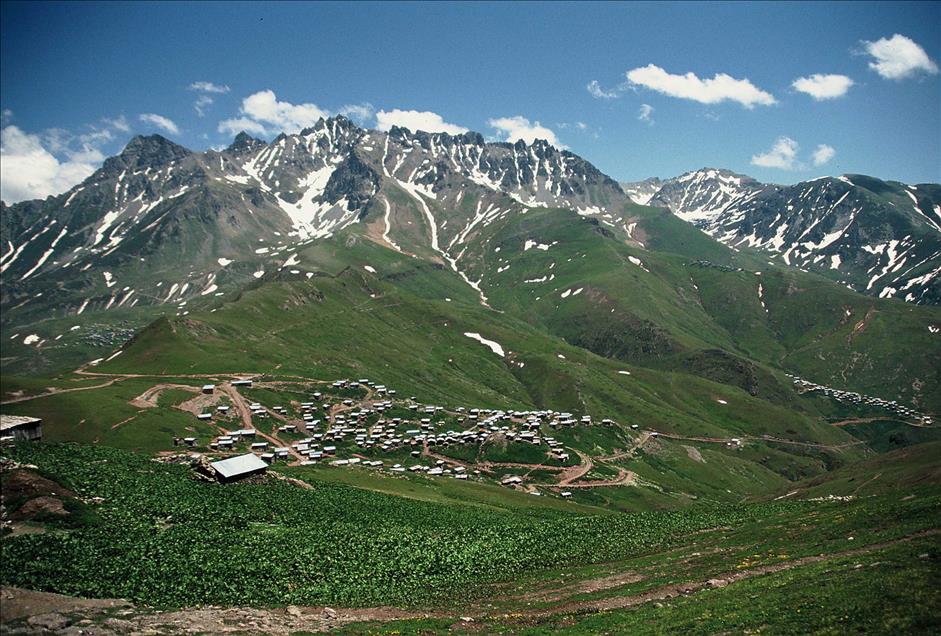 Türkiye'nin 3. büyük bitki zengini şehri - Anadolu Ajansı