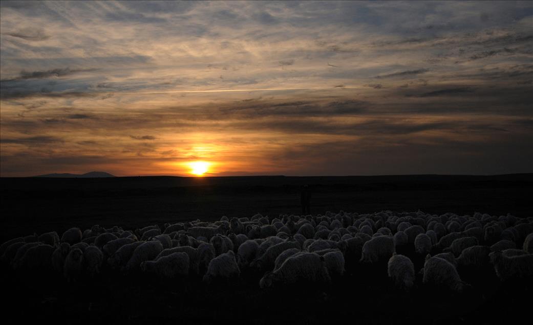 Gün batımıyla başlayan dönüş yolculuğu - Anadolu Ajansı