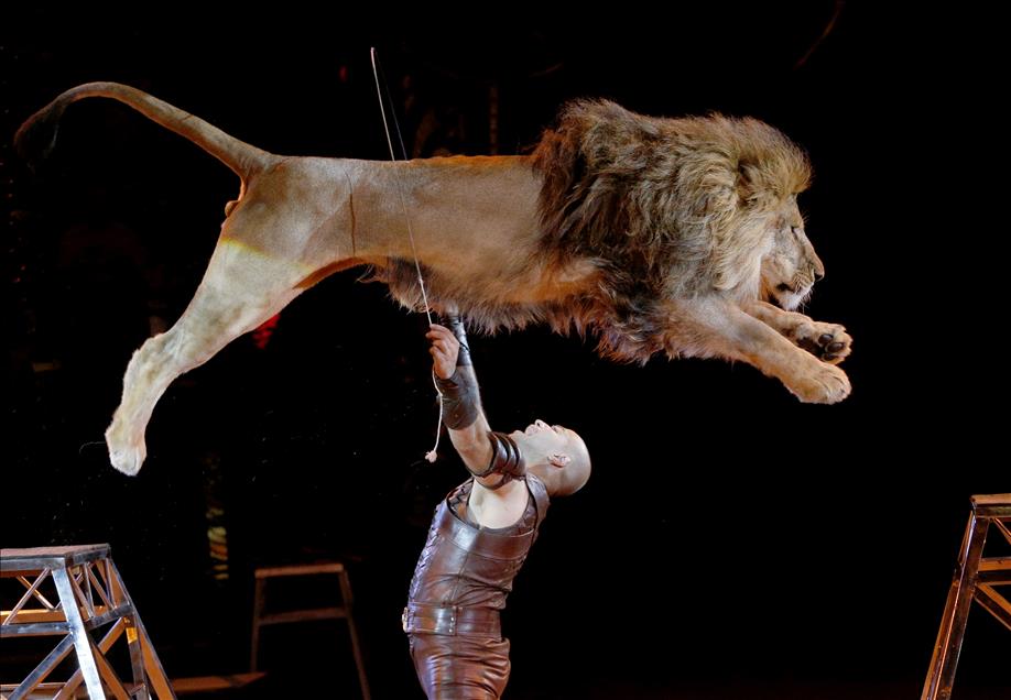 World Festival of Circus Art 'IDOL' - Anadolu Ajansı