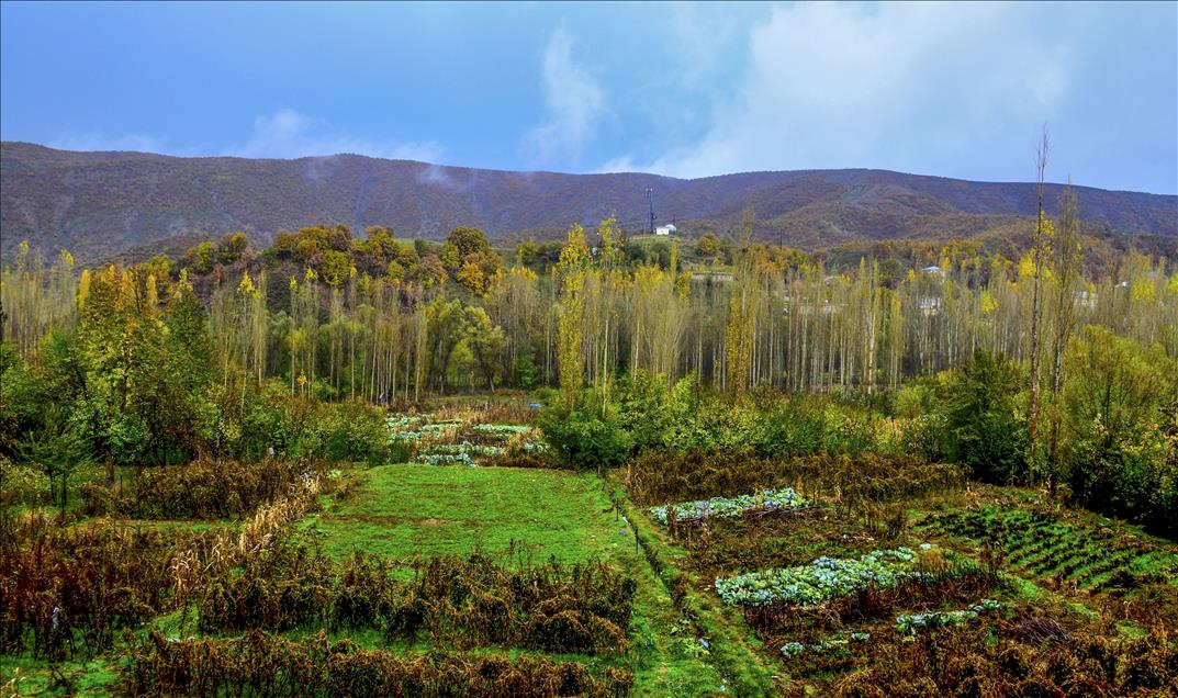 Hizan'da sonbahar - Anadolu Ajansı