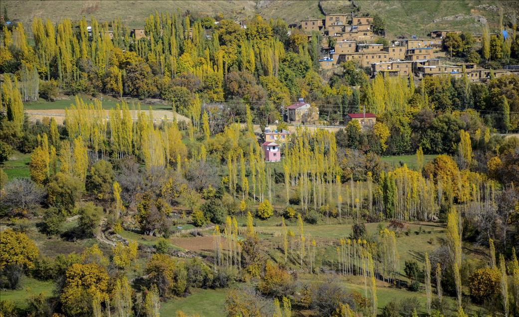 Hizan'da sonbahar - Anadolu Ajansı