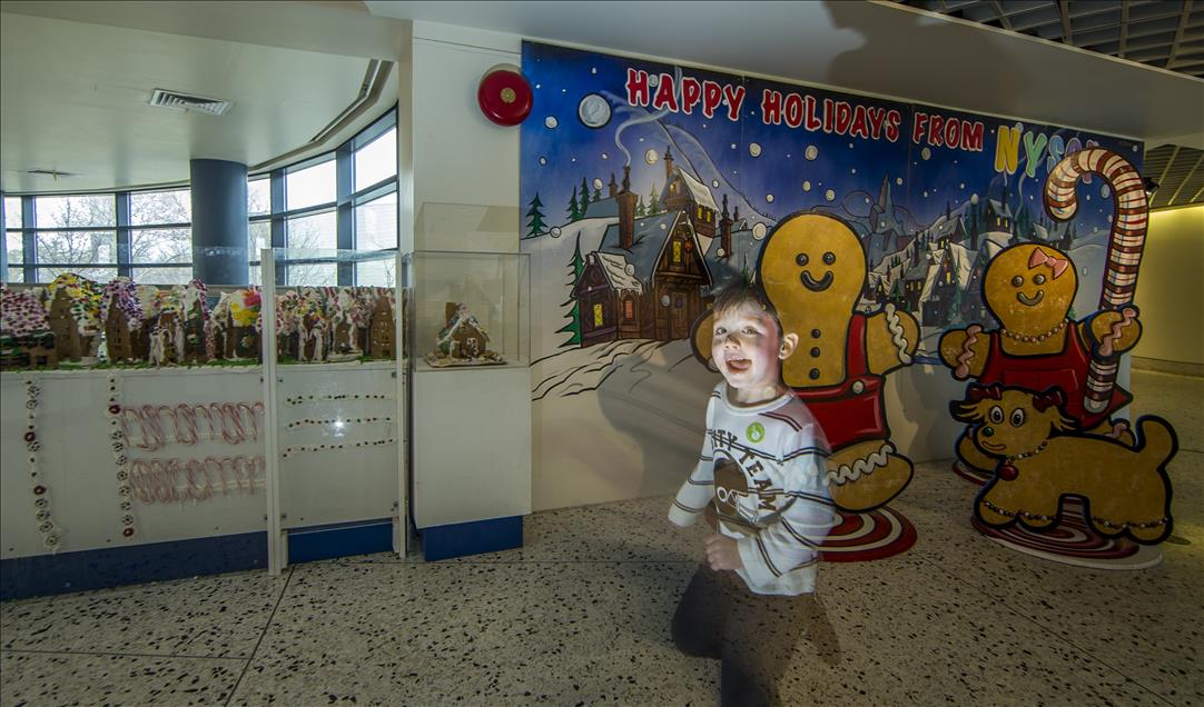 GingerBread Lane: World's largest gingerbread village in New York ...