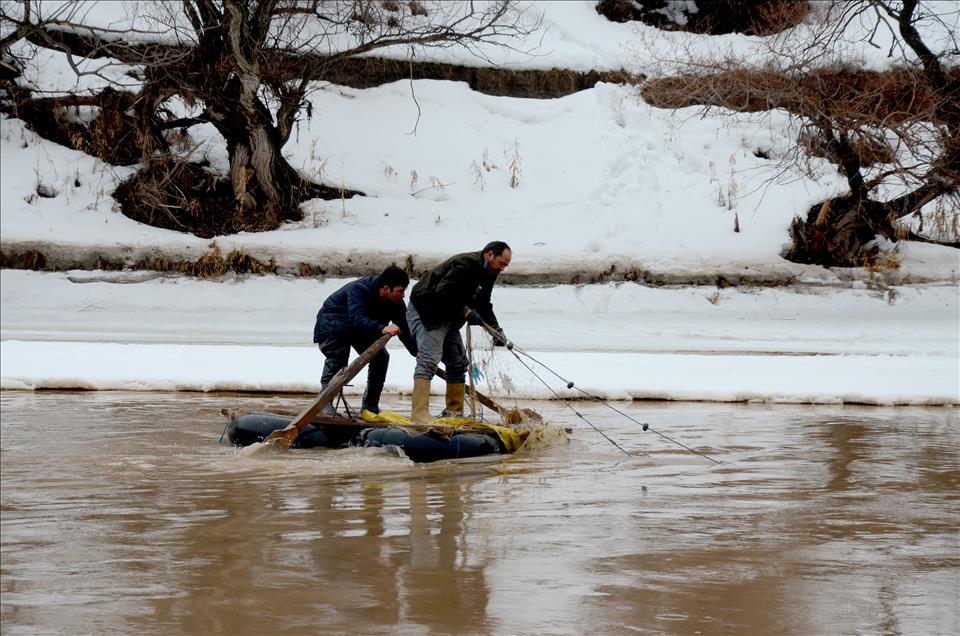 Aras Nehri'nde sezonun ilk balık avı - Anadolu Ajansı