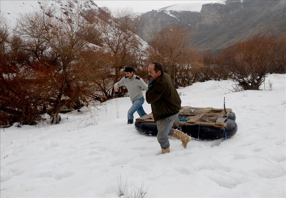 Aras Nehri'nde sezonun ilk balık avı - Anadolu Ajansı