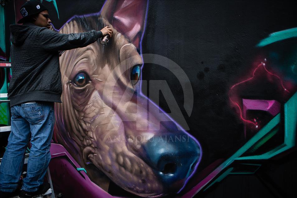 International Festival of Graffiti in Mexico City - Anadolu Ajansı