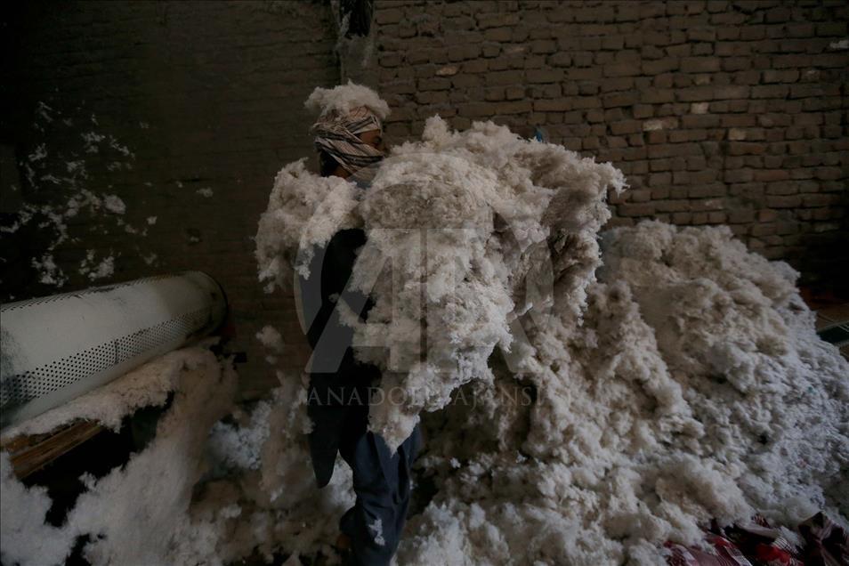 Wool workers in Pakistan - Anadolu Ajansı