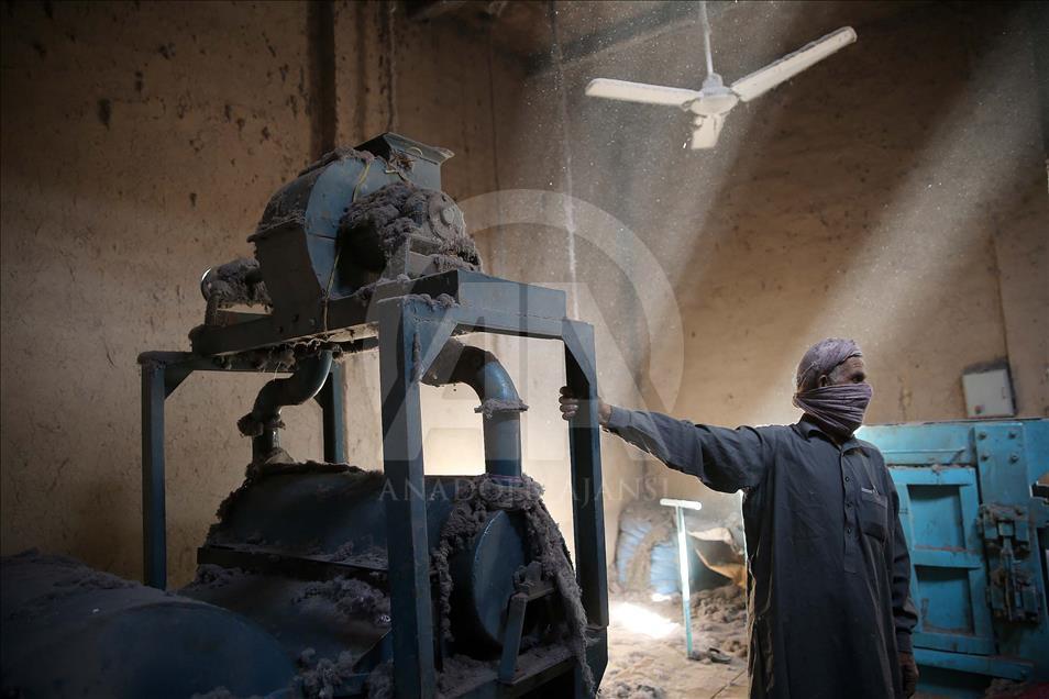 Wool workers in Pakistan - Anadolu Ajansı