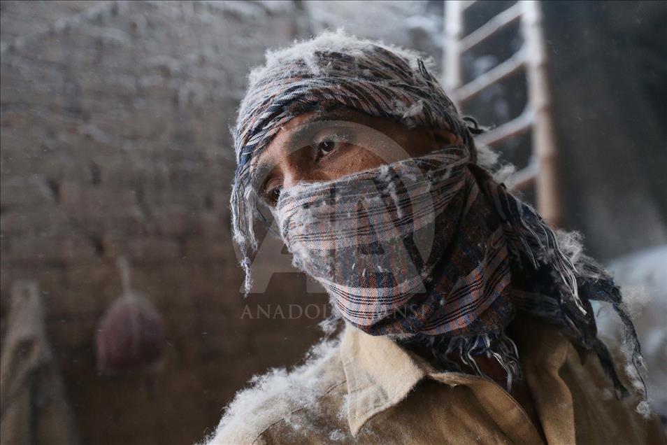 Wool workers in Pakistan - Anadolu Ajansı
