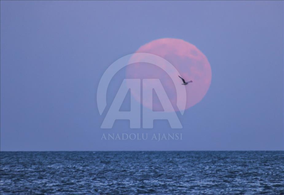 Super moon in Chicago - Anadolu Ajansı