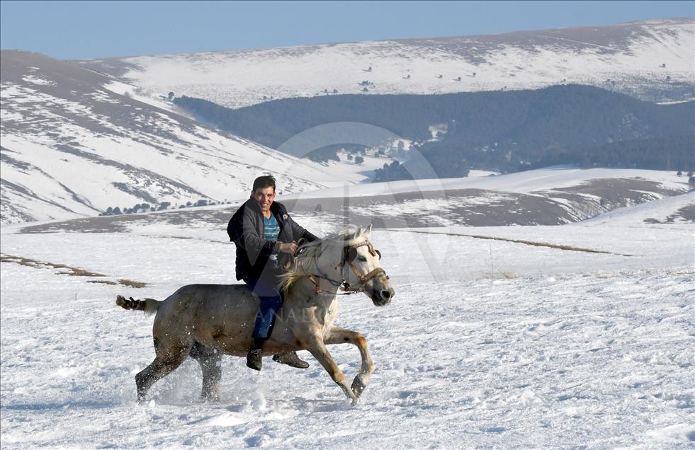 Atlar bahar idmanında - Anadolu Ajansı