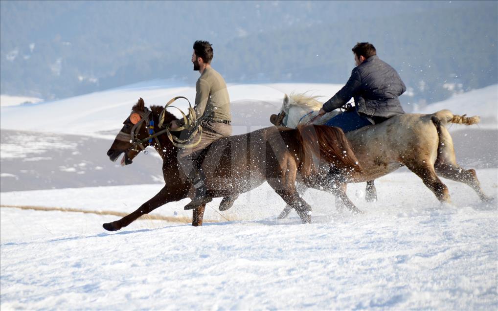 Atlar bahar idmanında - Anadolu Ajansı