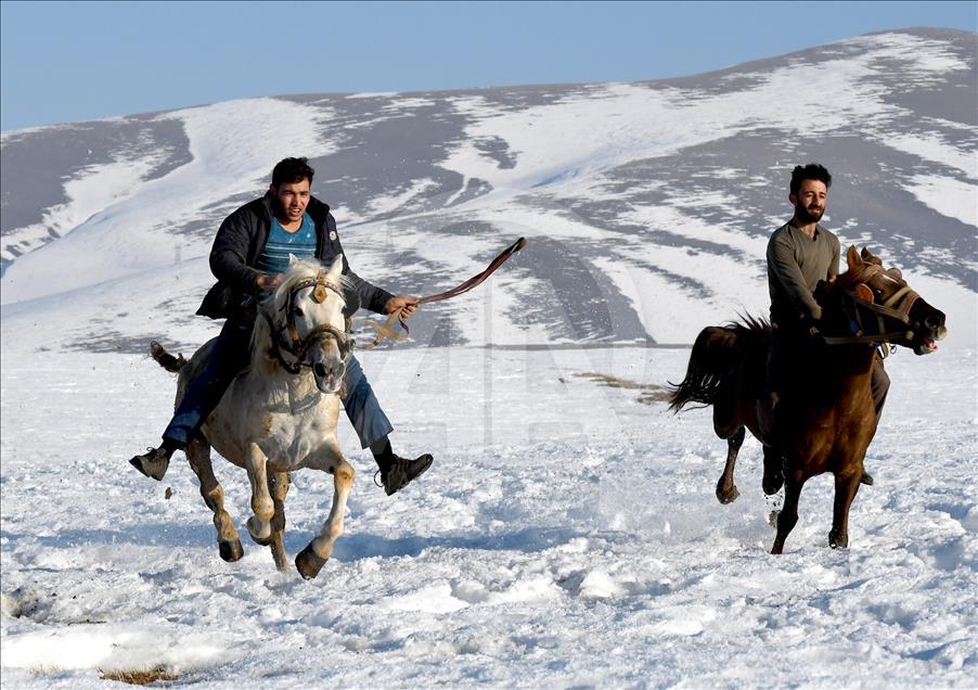 Atlar bahar idmanında - Anadolu Ajansı