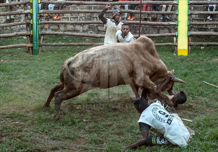 Madagaskar'da geleneksel ''Savika'' etkinliği - Anadolu Ajansı