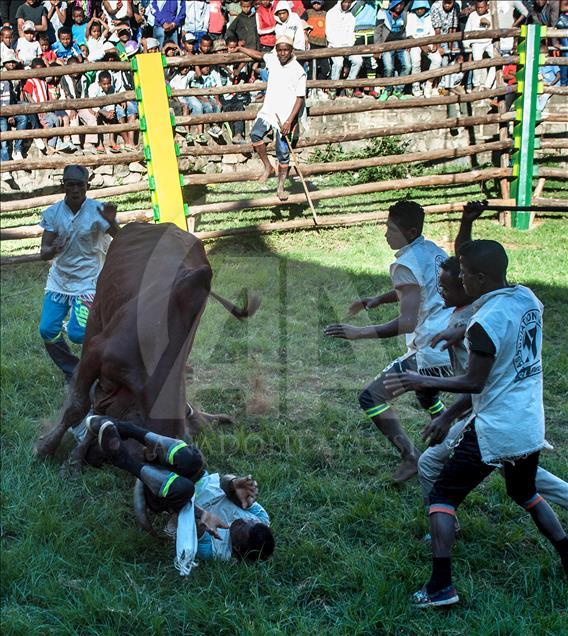 Madagaskar'da geleneksel ''Savika'' etkinliği - Anadolu Ajansı